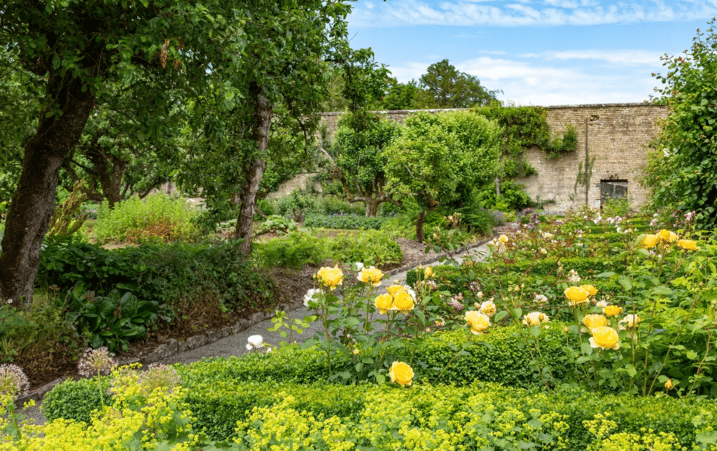 Circa 1882 Country Estate in Ireland on 238 Acres Under $4M - OLD HOUSE ...